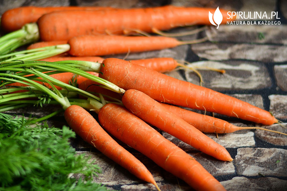 Beta karoten - pogromca wolnych rodników - algi Spirulina i Chlorella
