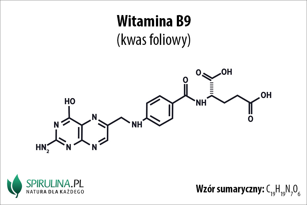 Witamina B9 (kwas foliowy) - algi Spirulina i Chlorella