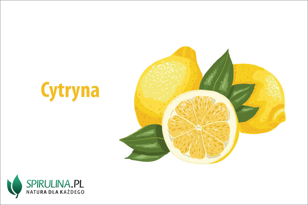 Cytryna - algi Spirulina i Chlorella