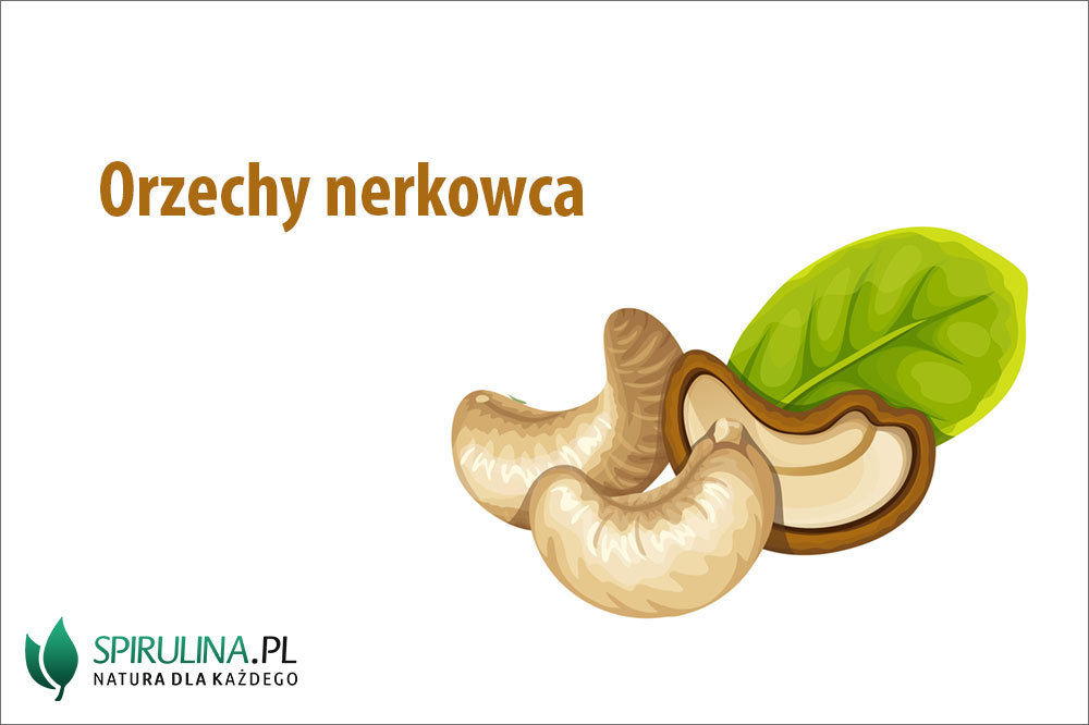 Co zawierają orzechy nerkowca? Co zawierają orzechy nerkowca?