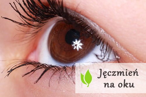 Jęczmień na oku - przyczyny, objawy, leczenie - algi Spirulina i Chlorella Jęczmień na oku - przyczyny, objawy, leczenie - algi Spirulina i Chlorella