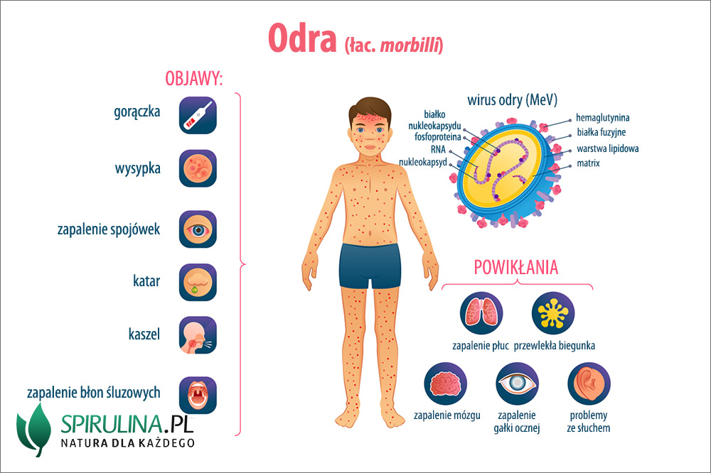Odra - algi Spirulina i Chlorella