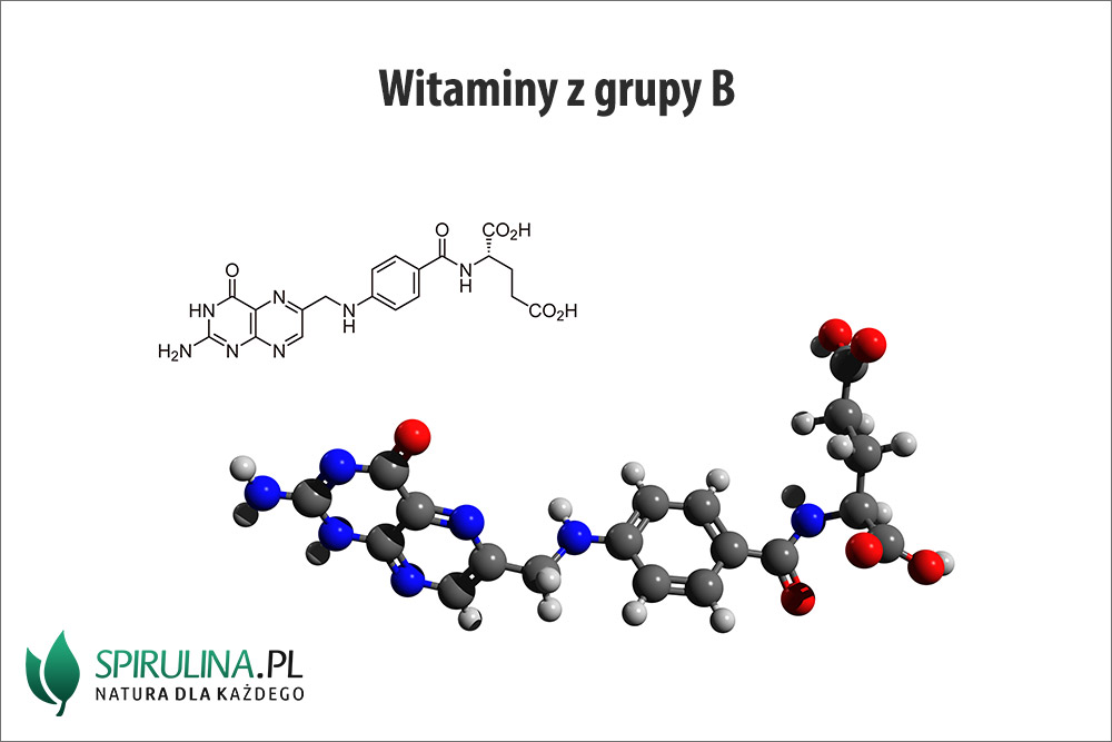 Witaminy z grupy B - algi Spirulina i Chlorella