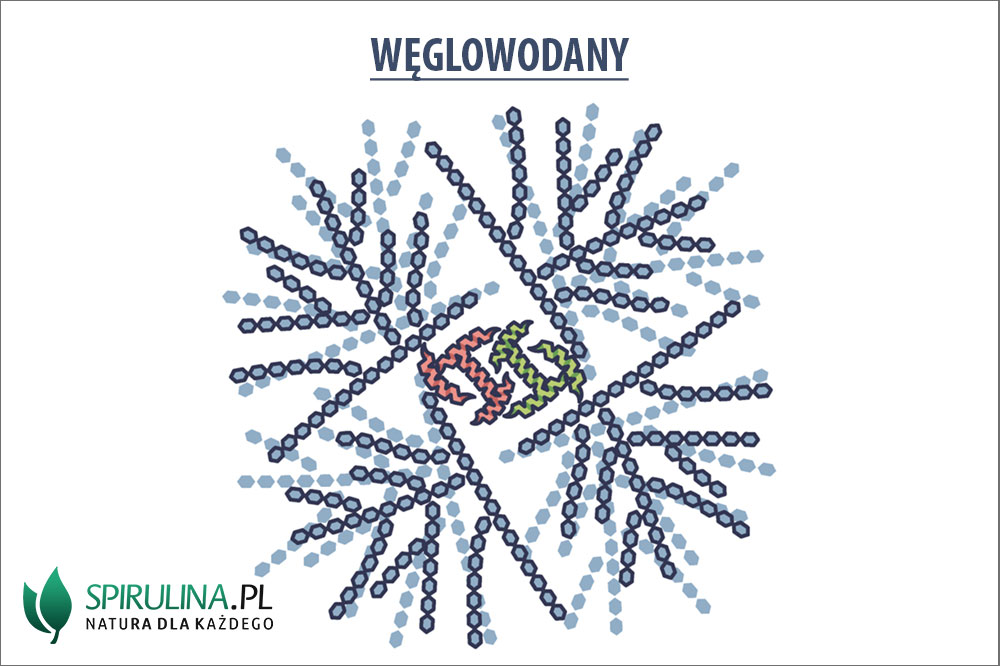 Węglowodany - charakterystyka - algi Spirulina i Chlorella