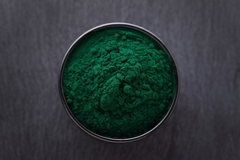 Algi Spirulina i Chlorella - najważniejsze informacje w jednym miejscu!