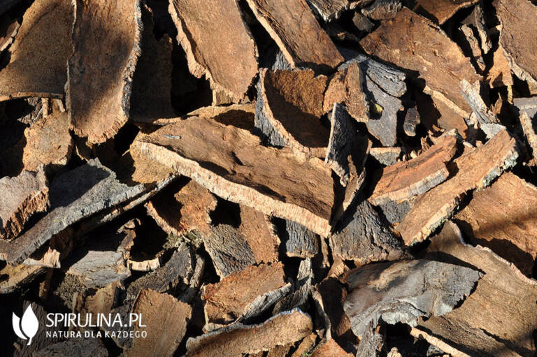 Kora dębu - algi Spirulina i Chlorella