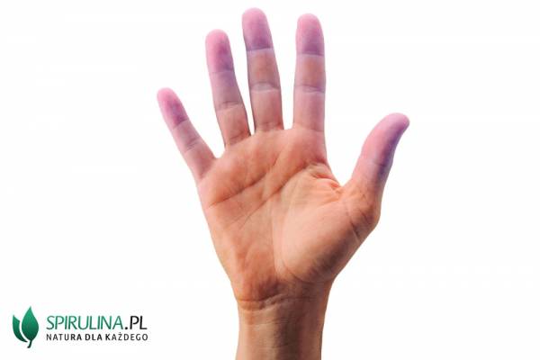Sinienie palców u rąk - algi Spirulina i Chlorella