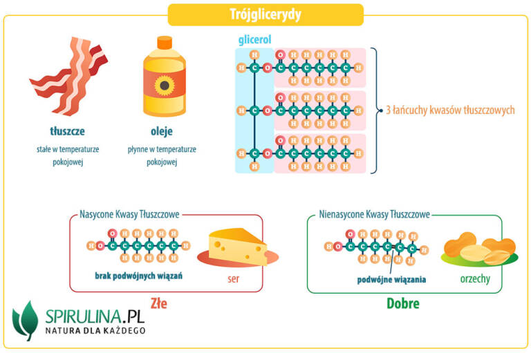 Trójglicerydy - algi Spirulina i Chlorella