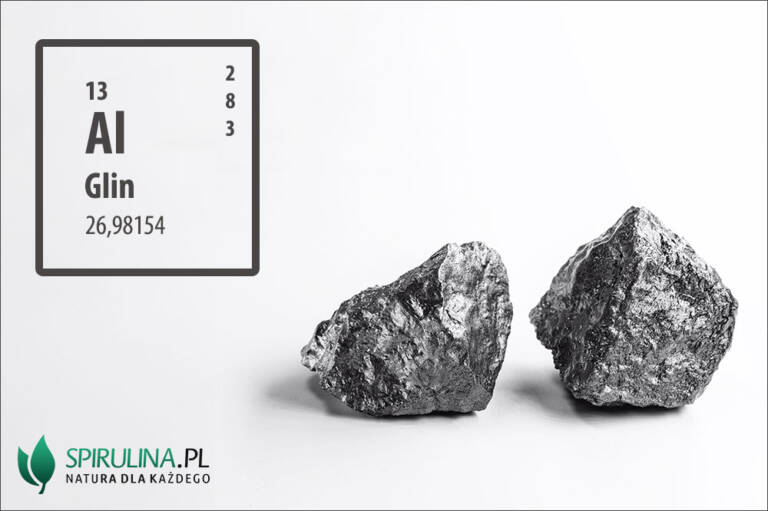 Glin - algi Spirulina i Chlorella