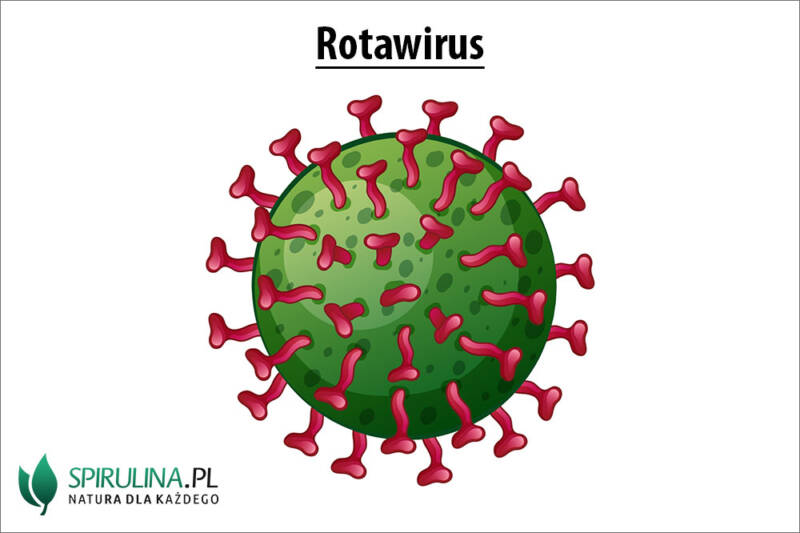 Rotawirus - algi Spirulina i Chlorella