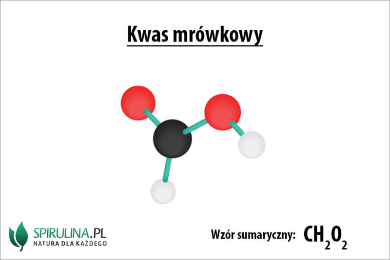 Kwas mrówkowy - algi Spirulina i Chlorella