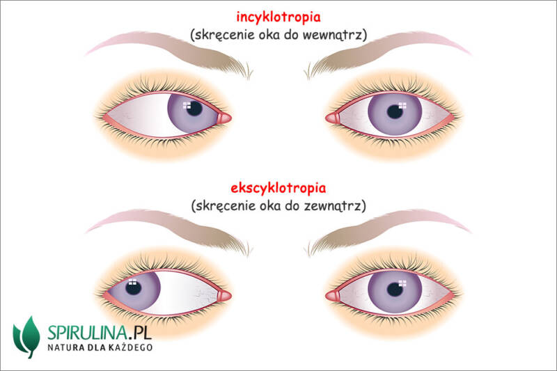 Zez - algi Spirulina i Chlorella