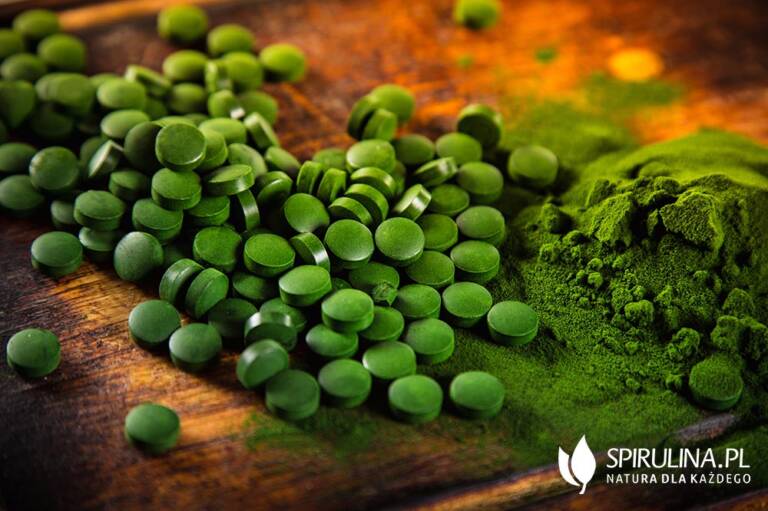 Chlorella sorokiniana - algi Spirulina i Chlorella