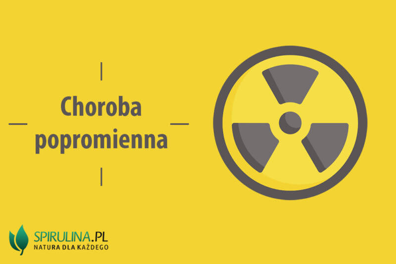 Choroba popromienna - algi Spirulina i Chlorella