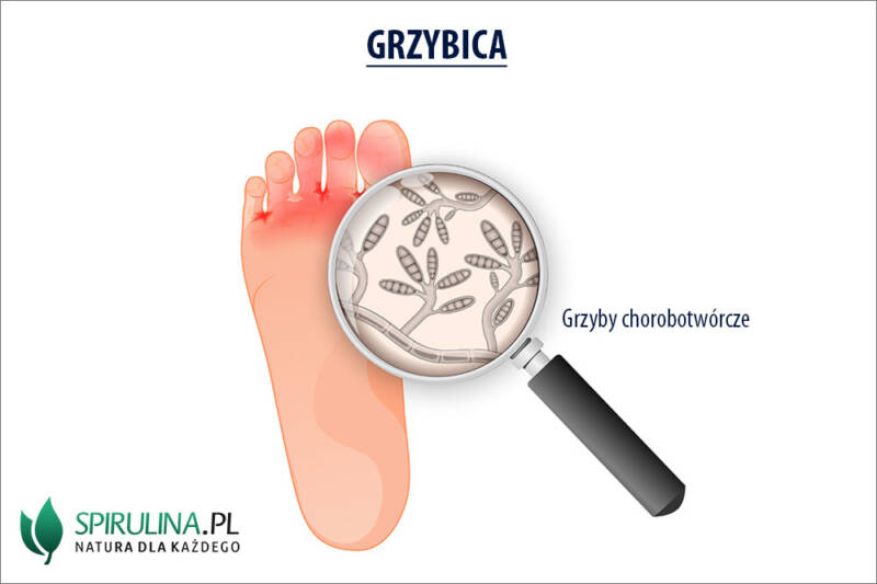Grzybica - algi Spirulina i Chlorella