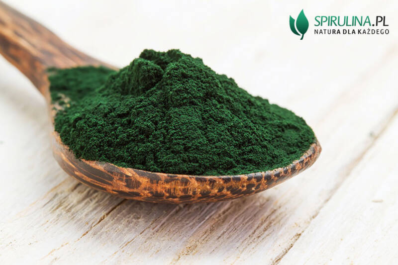Algi Spirulina i Chlorella - najważniejsze informacje w jednym miejscu!