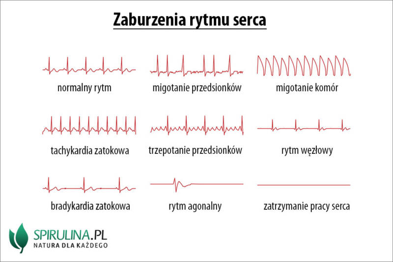 Zaburzenia rytmu serca - algi Spirulina i Chlorella