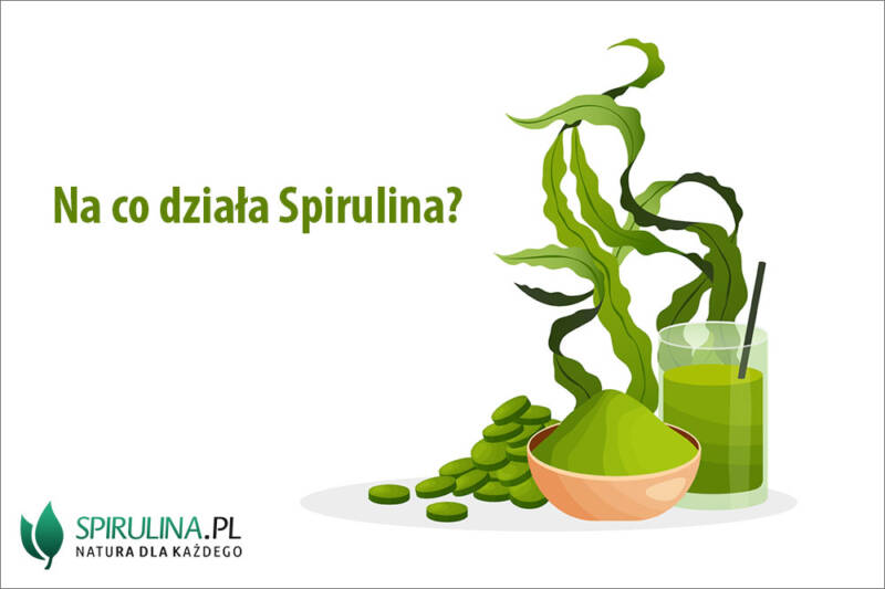 Na co działa Spirulina? - algi Spirulina i Chlorella