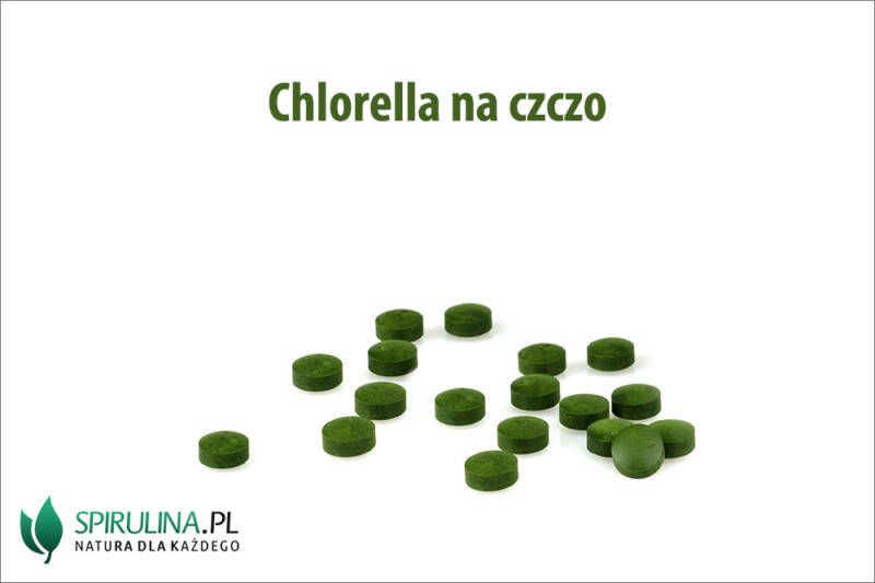 Chlorella na czczo - algi Spirulina i Chlorella