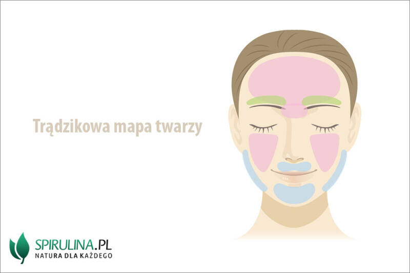 Trądzikowa mapa twarzy - algi Spirulina i Chlorella