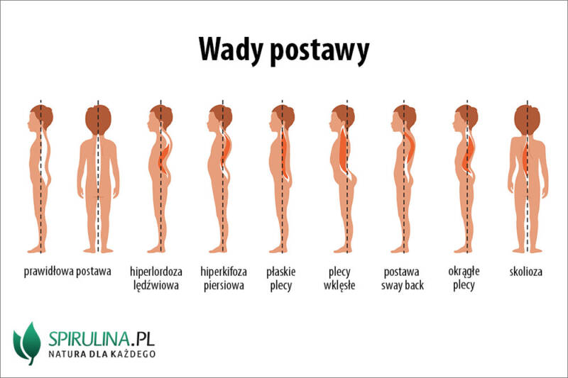 Wady postawy - algi Spirulina i Chlorella