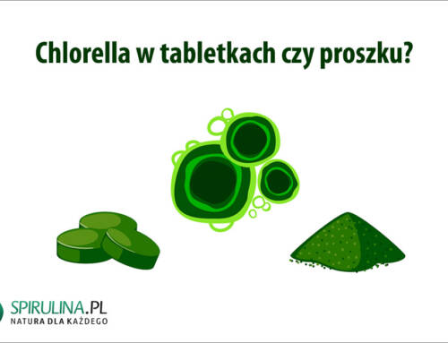 Chlorella - tabletki na oczyszczenie organizmu - algi Spirulina i Chlorella