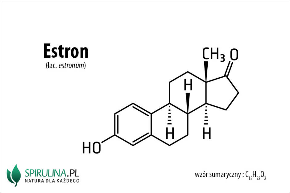 Koenzym Q10 - z czym łączyć? - algi Spirulina i Chlorella