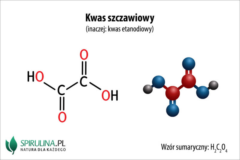 Kwas szczawiowy - algi Spirulina i Chlorella